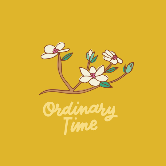 Ordinary Time – Catholic Family Crate