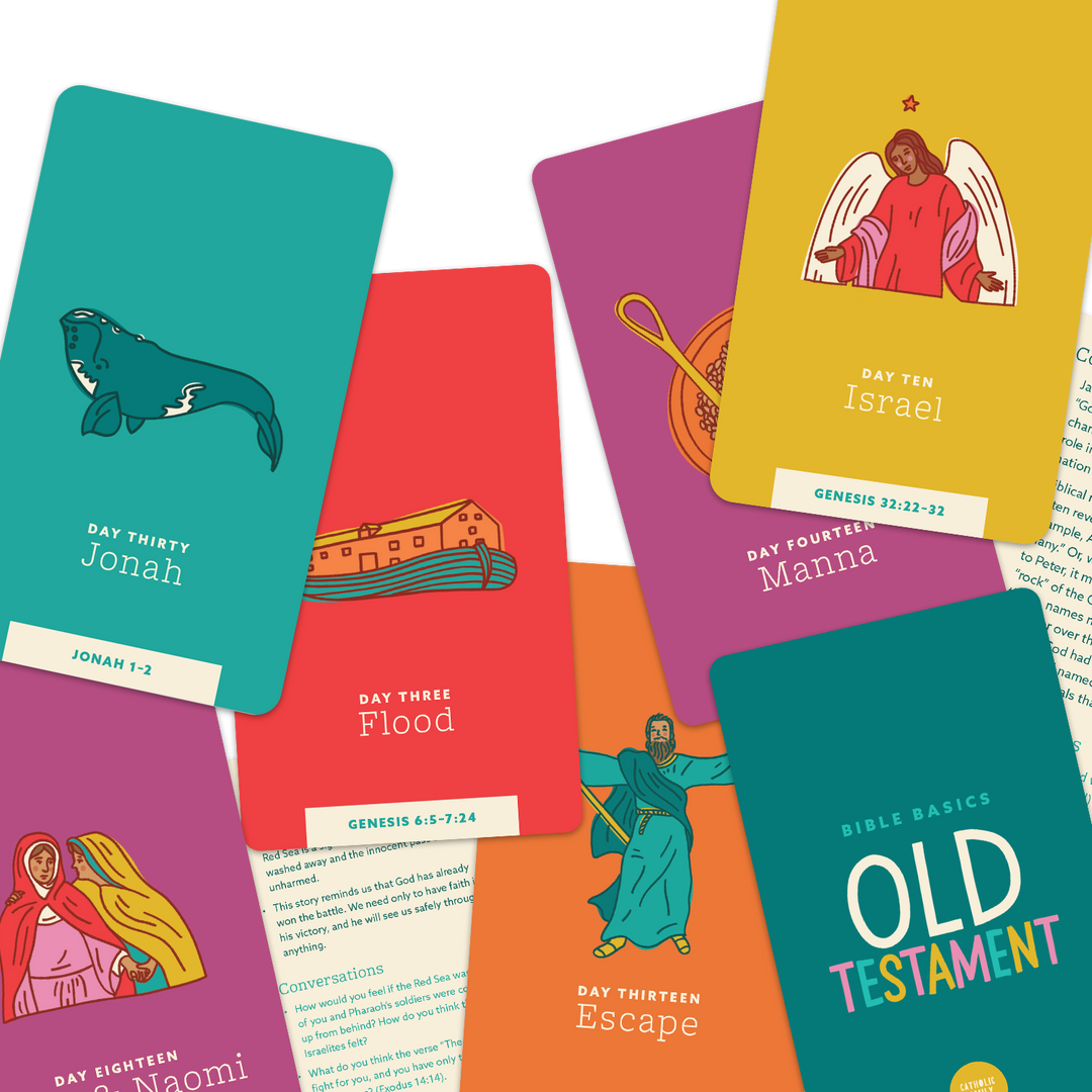 Bible Basics: Full Collection (All 3) – Catholic Family Crate